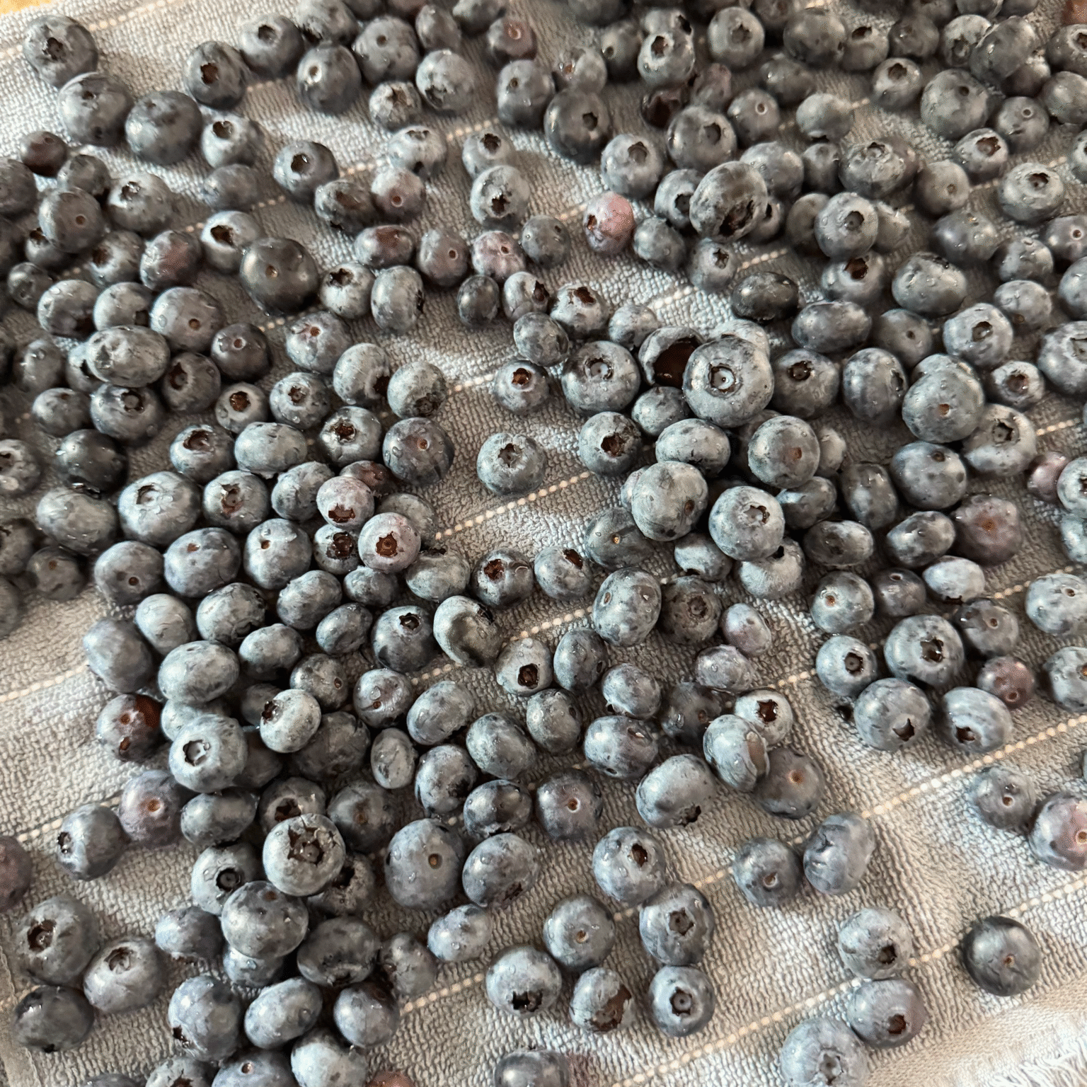 How to Make Berries Last Longer: The Best Soaking Methods - Joyberry ...